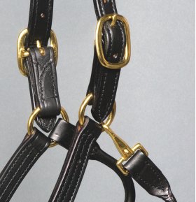 Tack - Friesian Saddles, Bridles, and Accessories for Sale