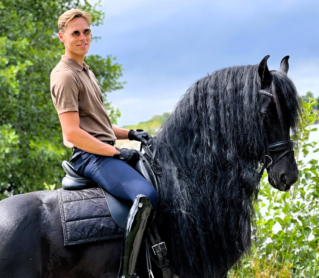 KAS - Friesian Horse for Sale