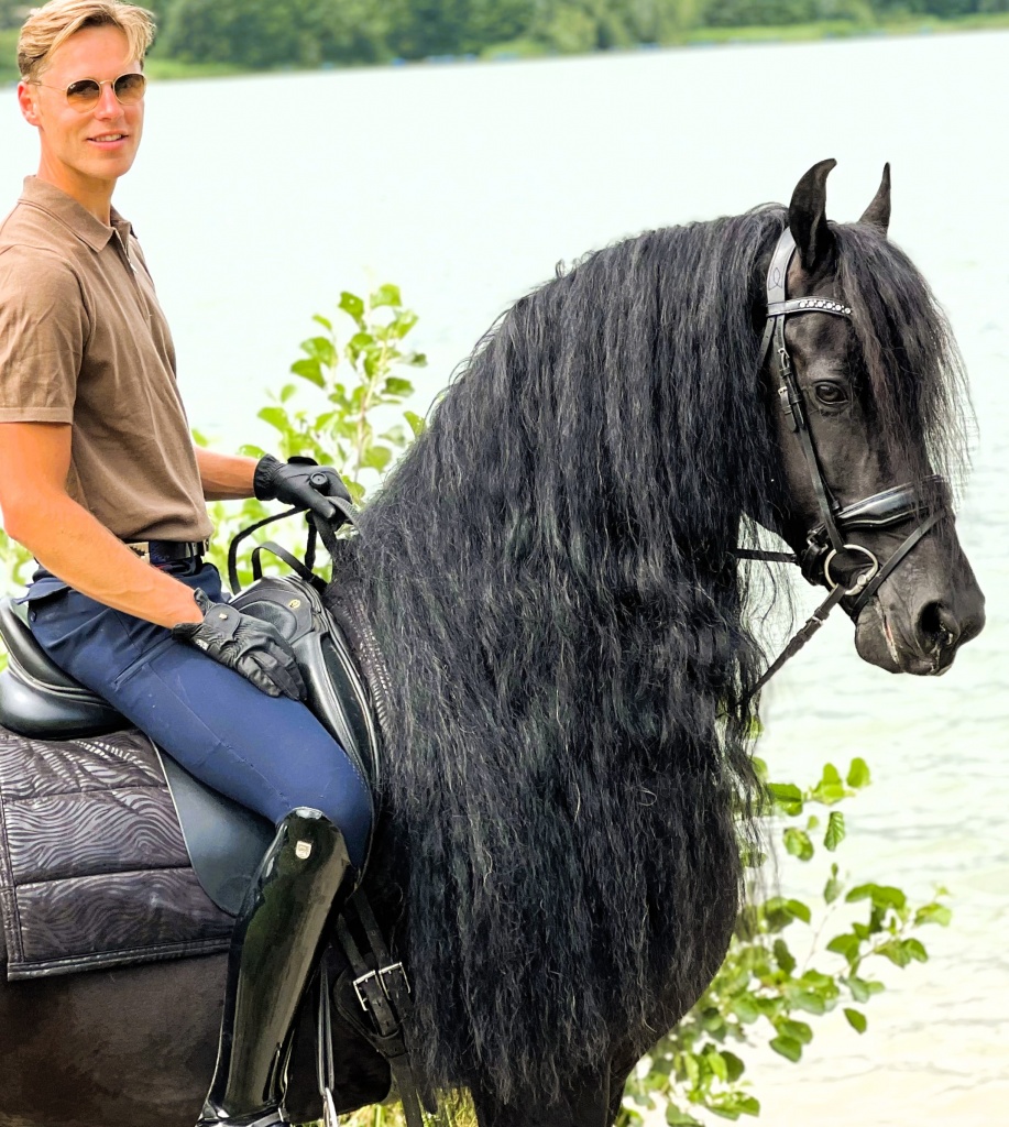 KAS - Friesian Horse for Sale
