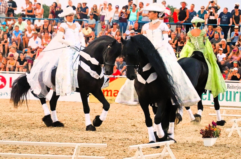 KAS - Friesian Horse for Sale